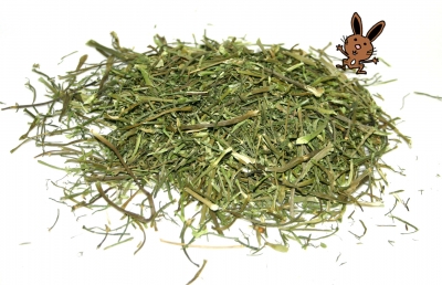 Schnuffelzwerge-Futterland.de - Dillstiele getrocknet